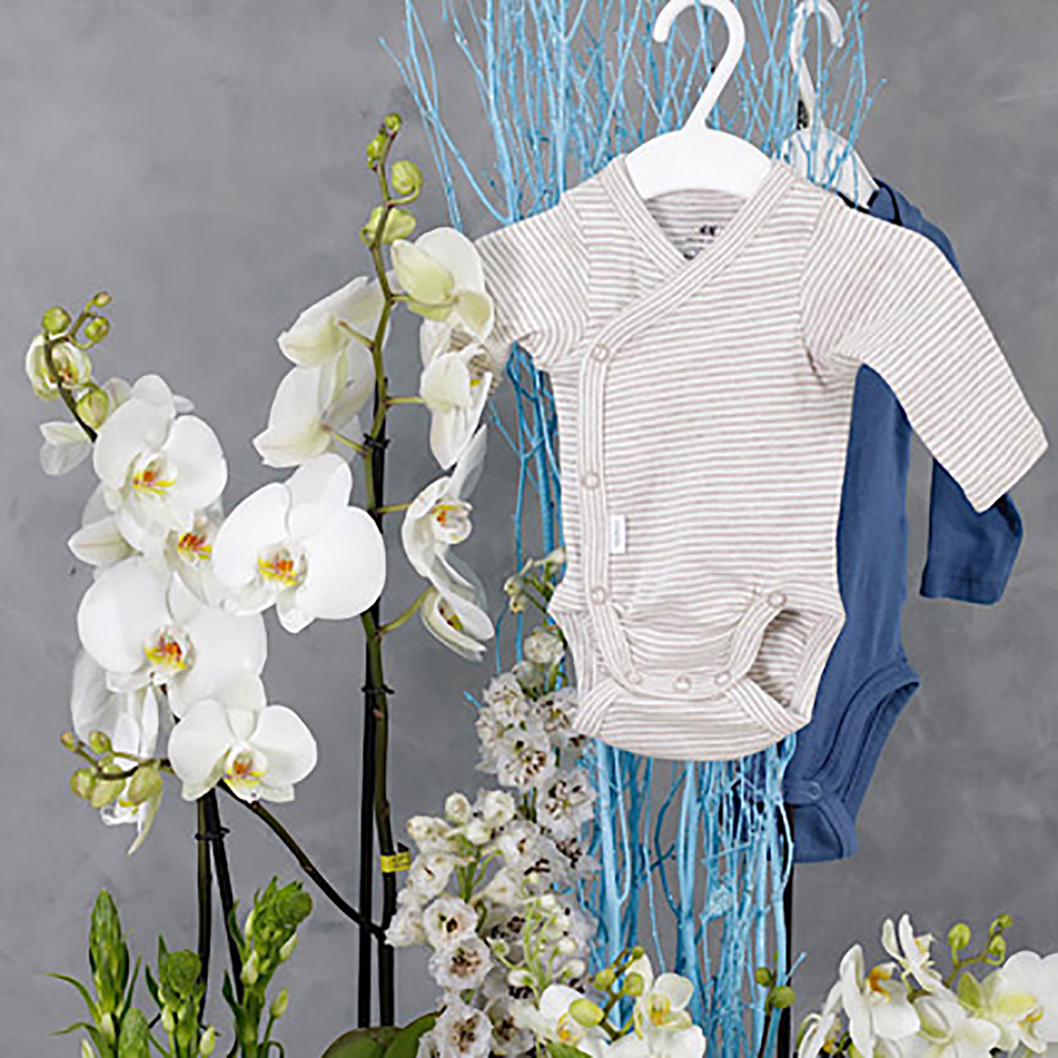 Online Baby Born Boy Gift Delivery in Kuwait - FNP