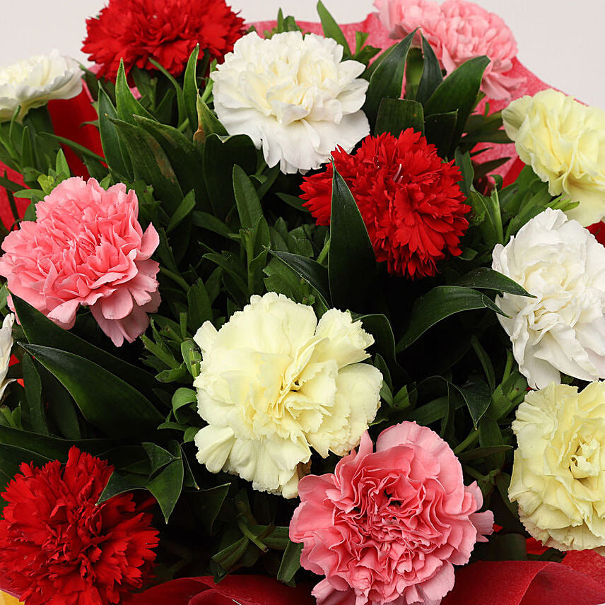 Online 15 Mixed Carnations Bouquet Medium Gift Delivery in Singapore - FNP