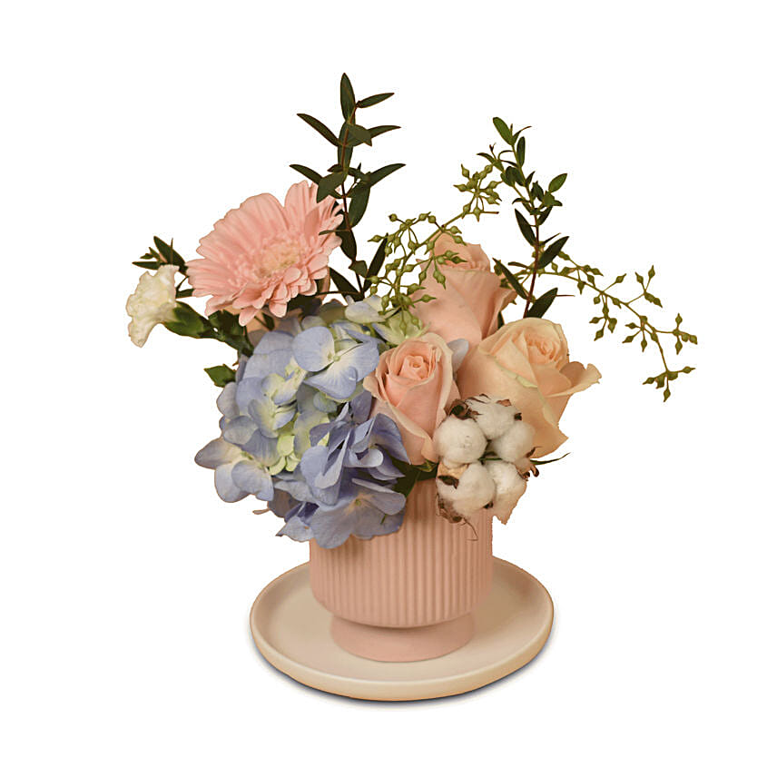 Online Pretty Floral Pot Gift Delivery in Singapore - FNP