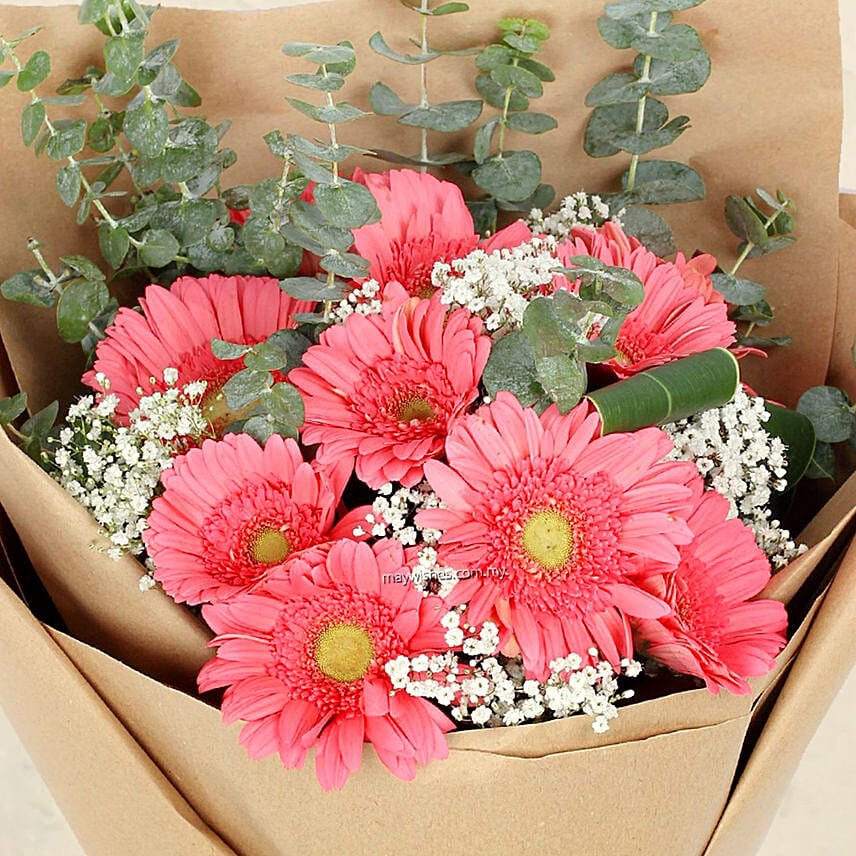 Online Gracious Pink Gerberas Beautifully Tied Bouquet MYS Gift ...