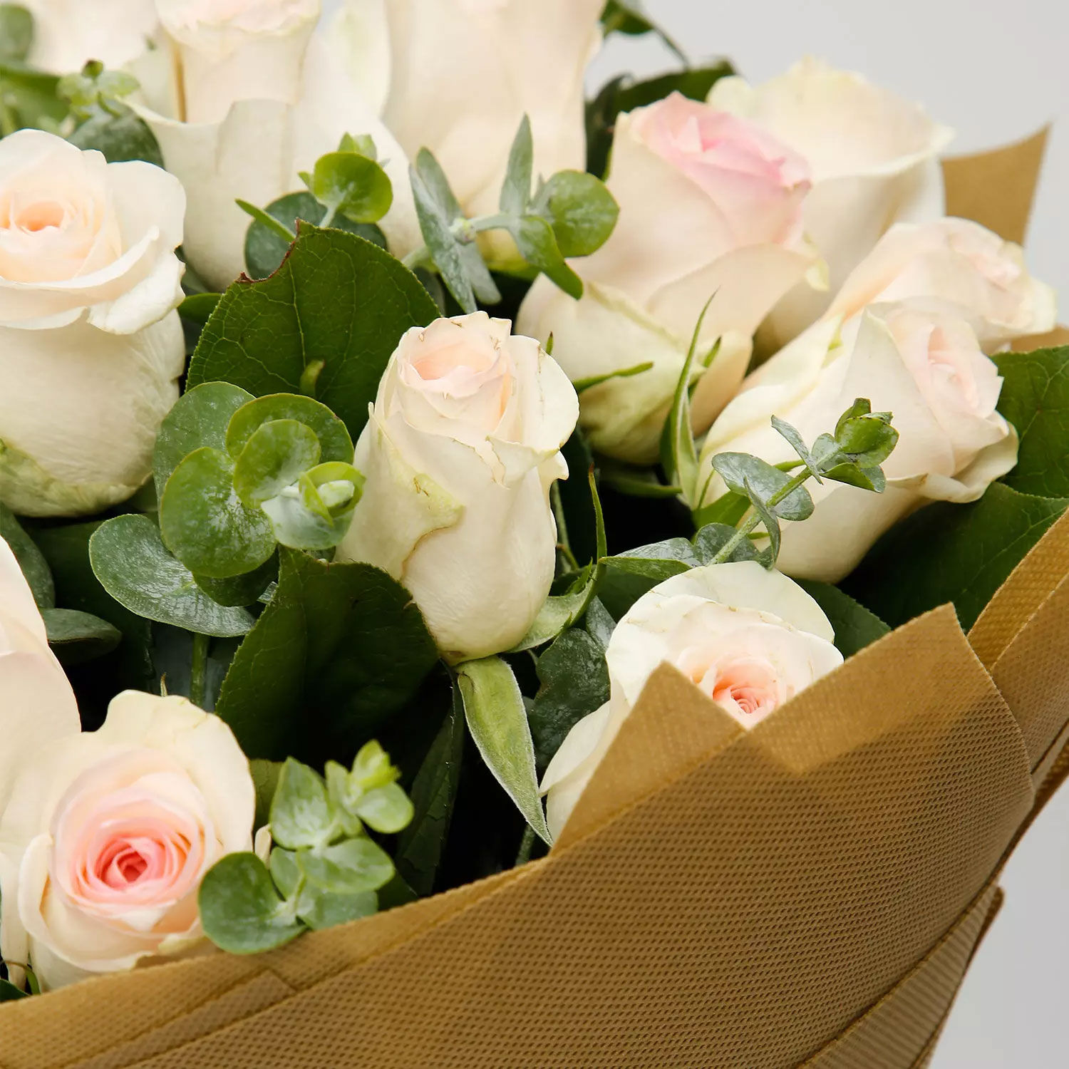 Online Bunch Of 20 Peach Roses Gift Delivery in Singapore - FNP