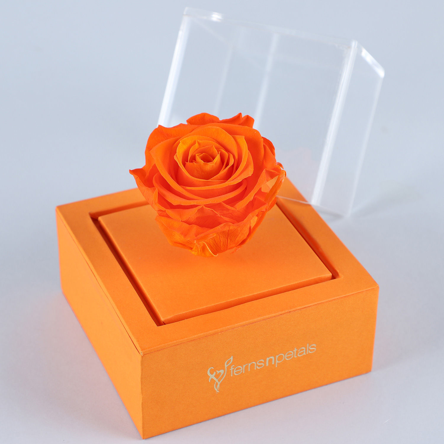 Online Orange Forever Rose In Orange Box Gift Delivery in Singapore - FNP