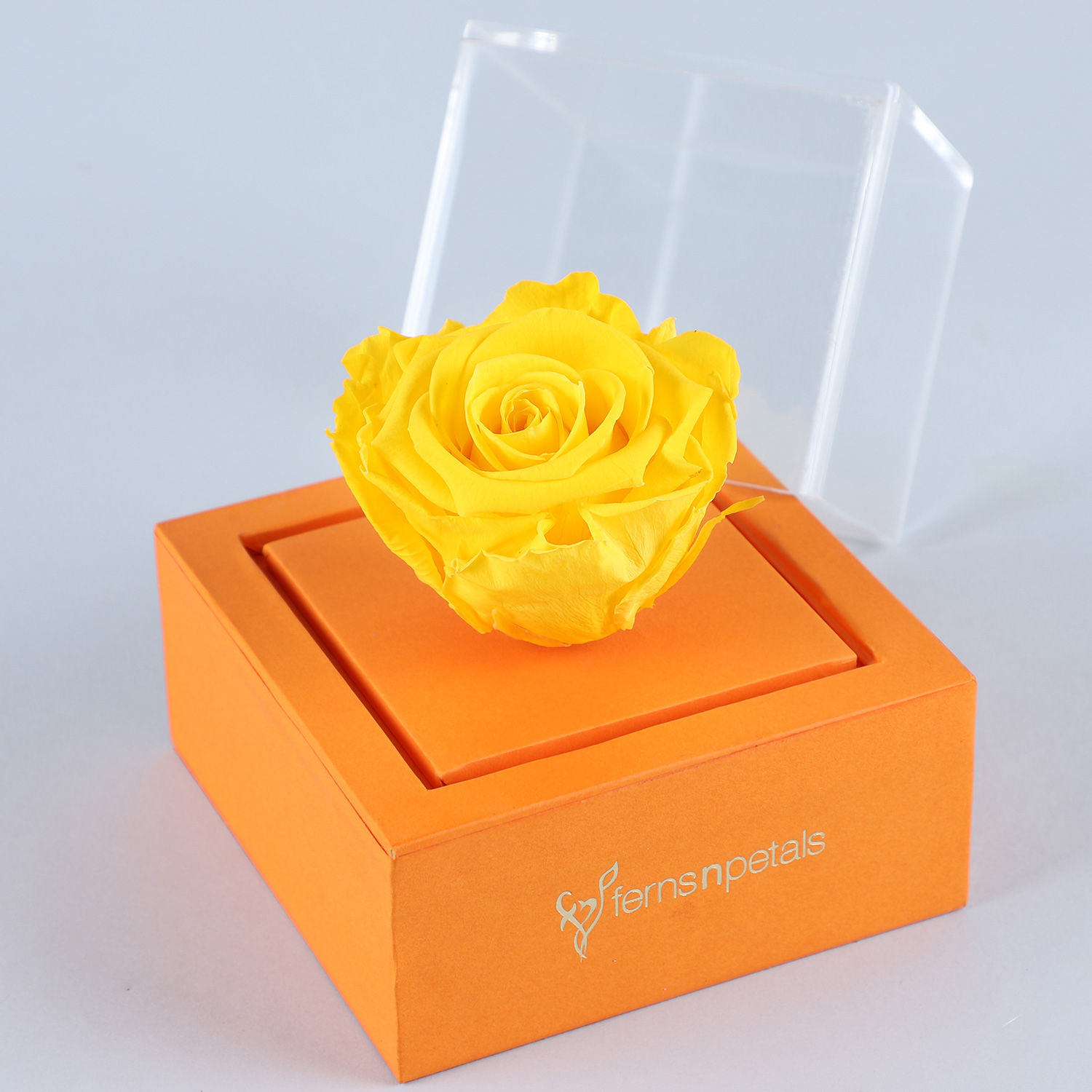 Online Yellow Forever Rose In Orange Box Gift Delivery in Singapore - FNP