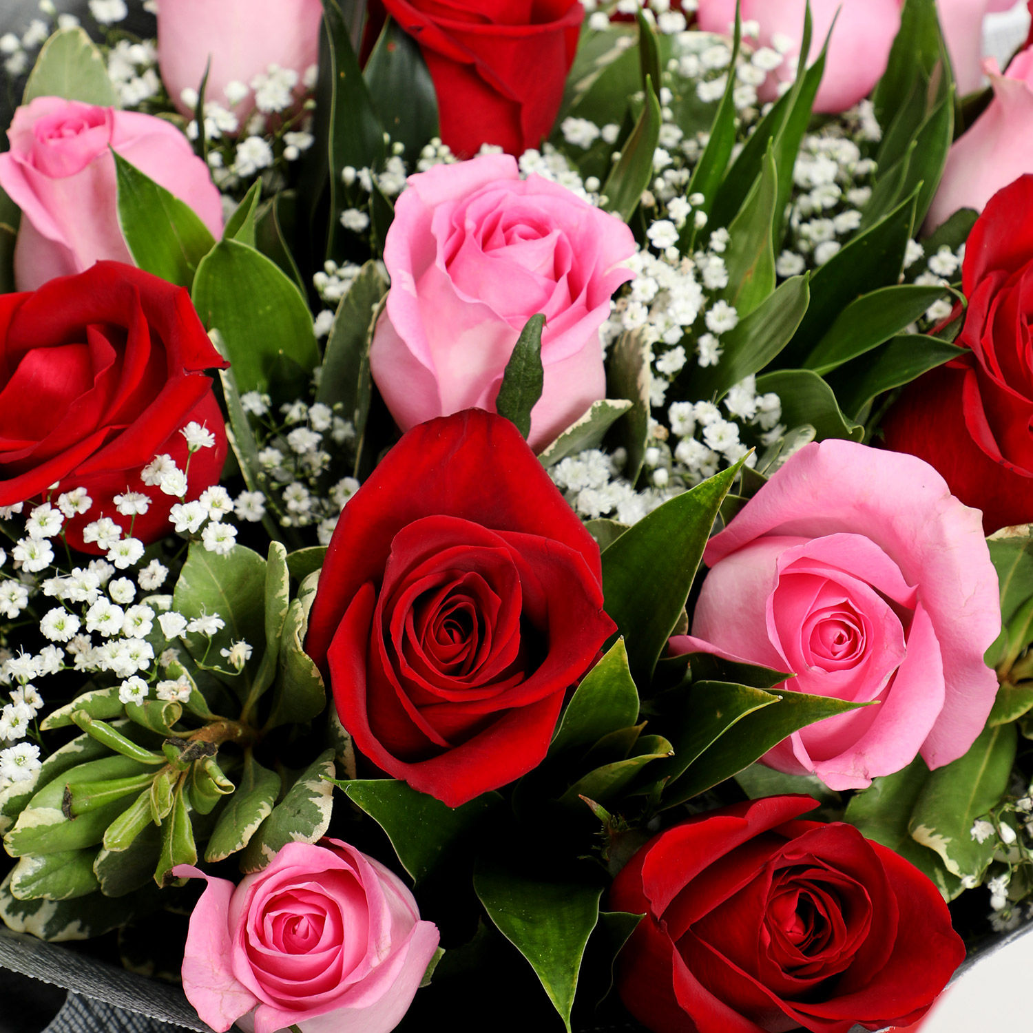 Online 6 Pink & 6 Red Kisses Roses Gift Delivery in Singapore - FNP