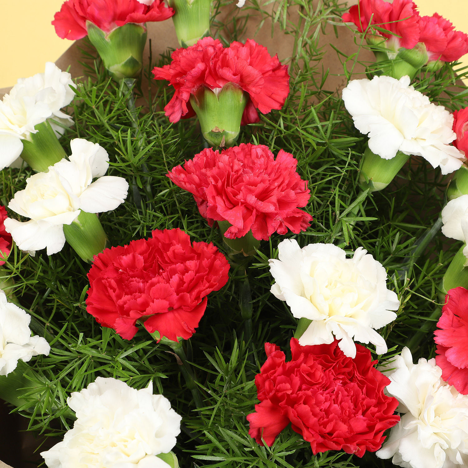 Online Gorgeous Pink White Carnations Bouquet Gift Delivery in ...
