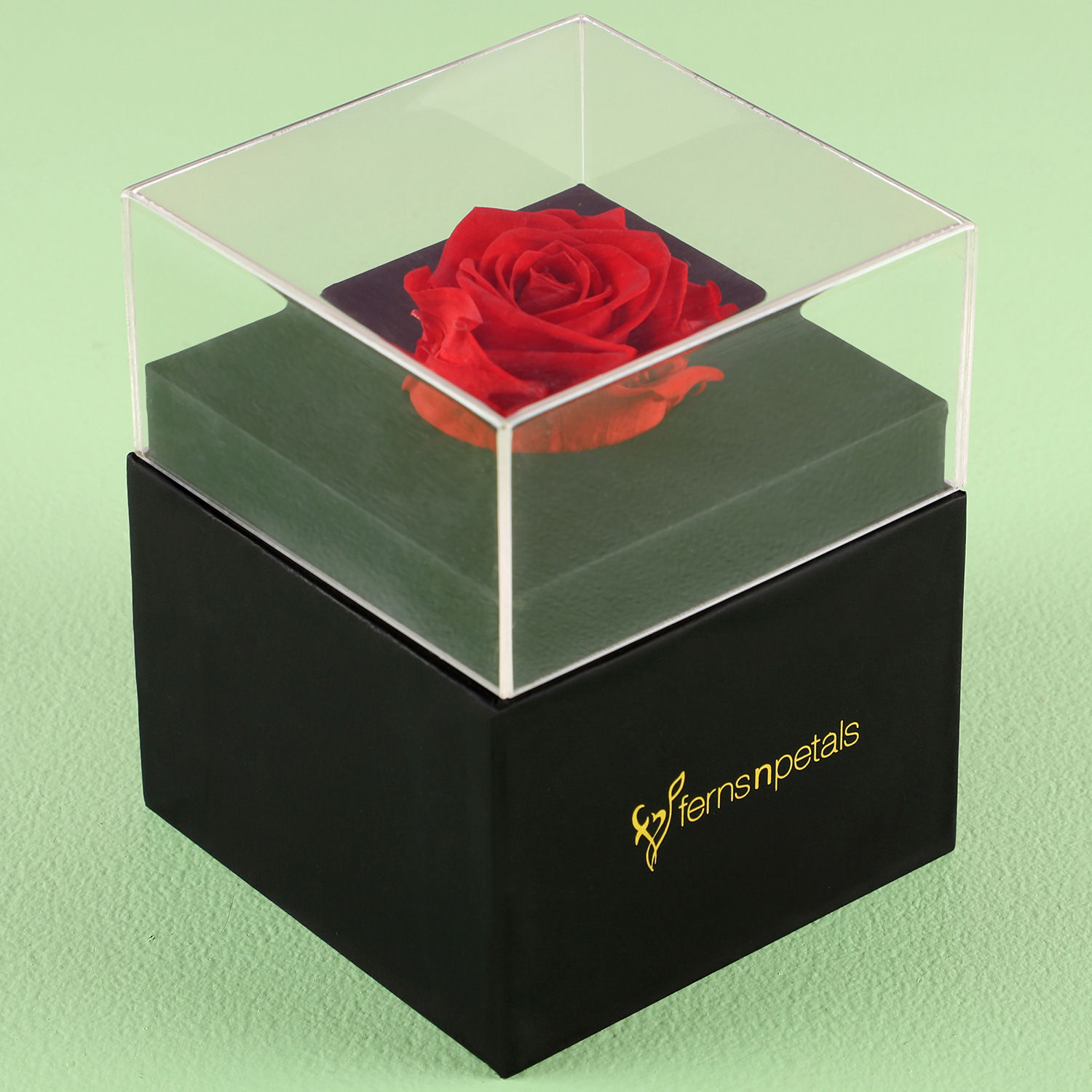 Online Forever Red Rose In Black Box Gift Delivery in Singapore - FNP