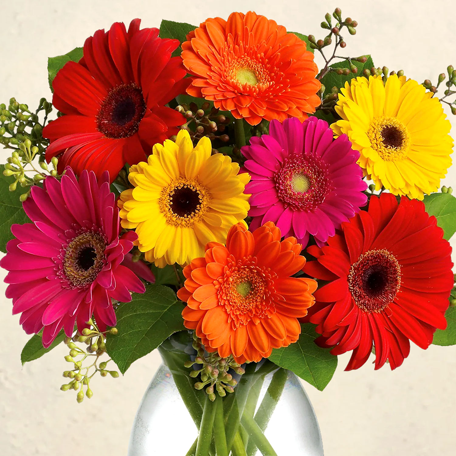 Online Heavenly Multicoloured Gerberas Vase Arrangement Gift Delivery ...