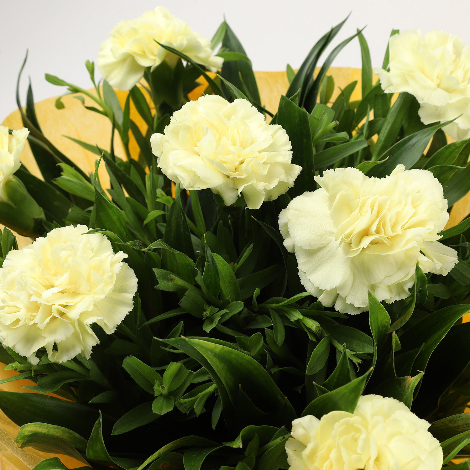 Online Vibrant Yellow Carnation Flower Bouquet Gift Delivery in ...