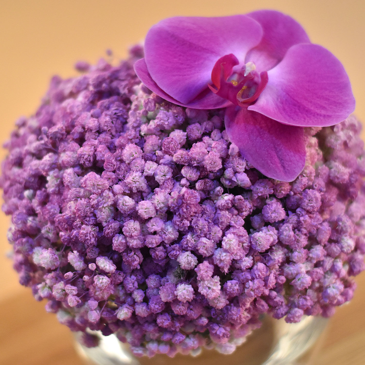 Online Purple Baby Breath & Phalaenopsis Fish Bowl Vase Gift Delivery ...